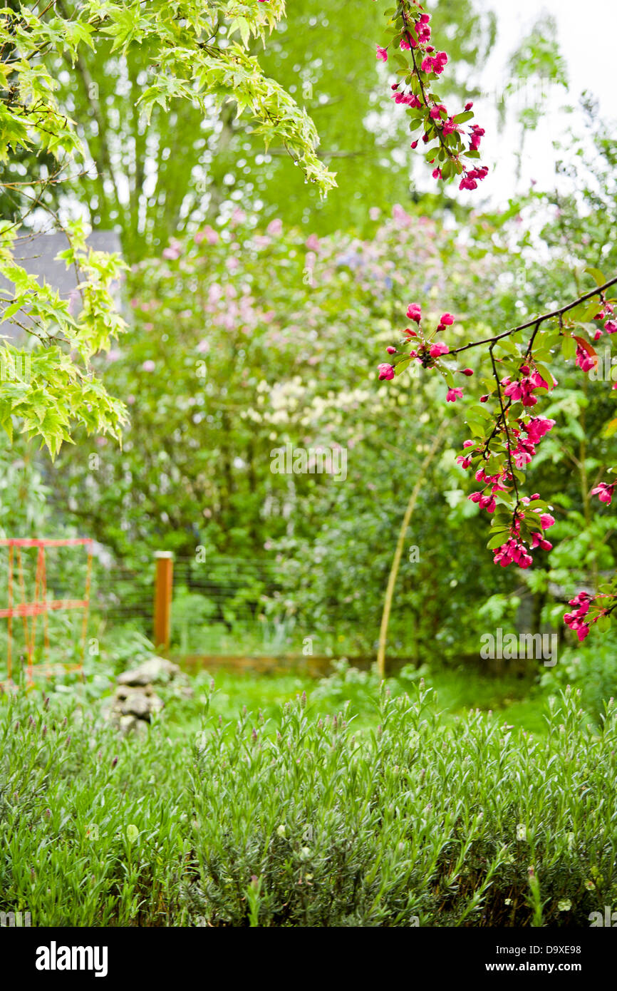 Backyard gardens hi-res stock photography and images - Alamy