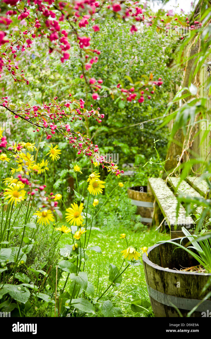 View of backyard garden Stock Photo - Alamy