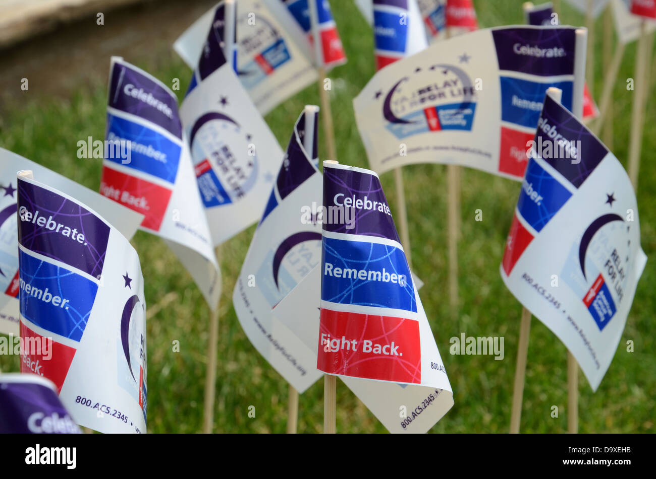 ANN ARBOR, MI - JUNE 22: Flags on display at the Relay for Life of Ann ...