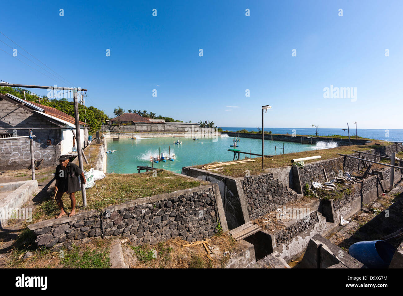 Indonesia, View of shrimp farm in village Stock Photo - Alamy