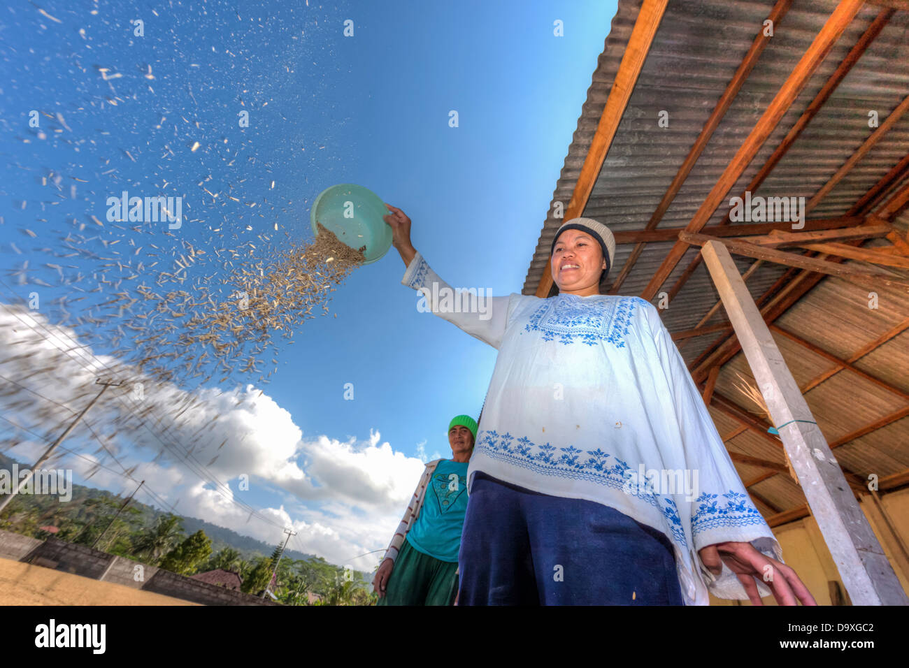 Indonesia, Woman pouring rice, smiling Stock Photo - Alamy