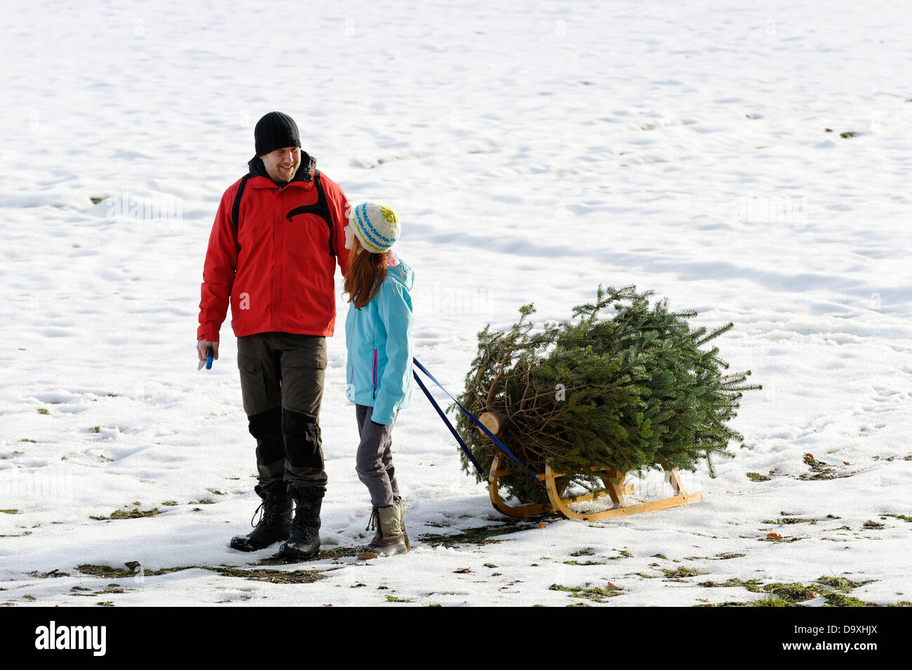 Sledge tree hi-res stock photography and images - Alamy