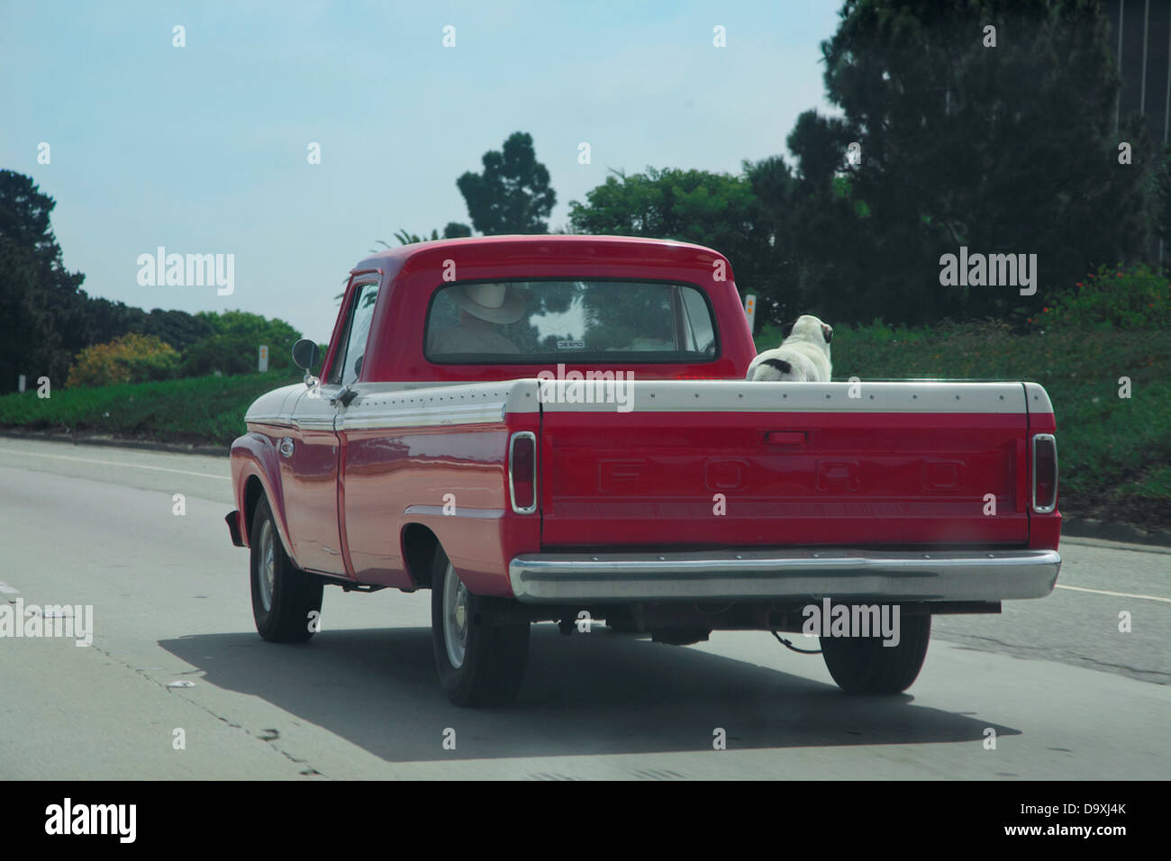 Cowboy driving truck hi-res stock photography and images - Alamy