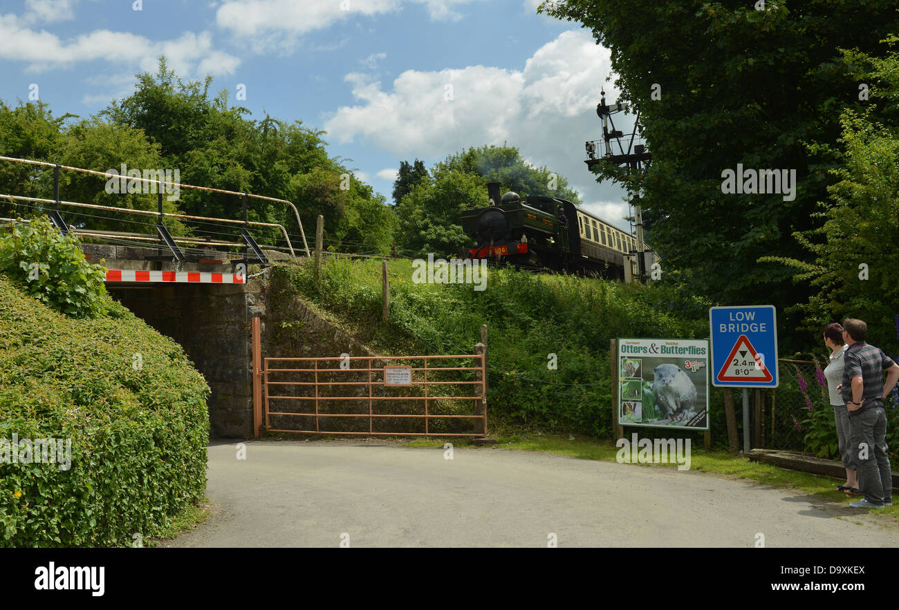Watching the Train at The South Devon Railway, Buckfastleigh -1 Stock ...