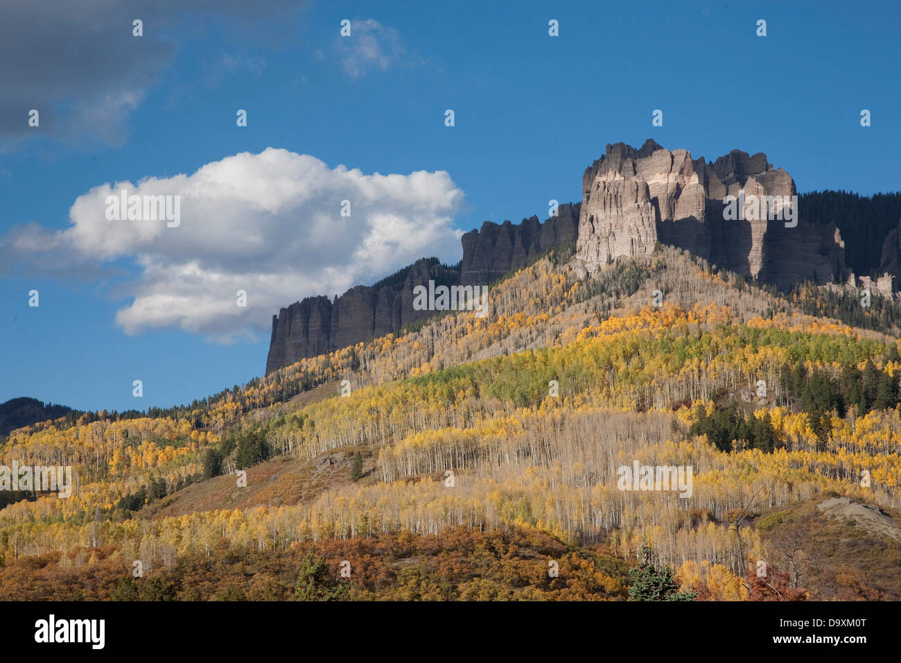 Aspen color near Chimney Peak in the Uncompahgre National Forest ...