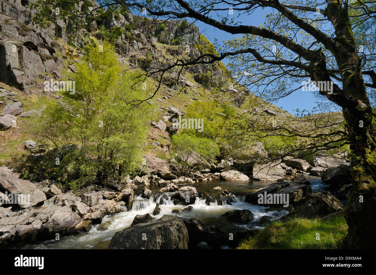Waterfalls on River Tywi, RSPB Dinas, Llandovery, Central Wales Stock ...