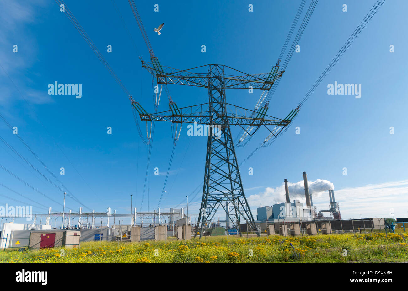 coal-fired power plant on the Maasvlakte, the industrial harbor ...