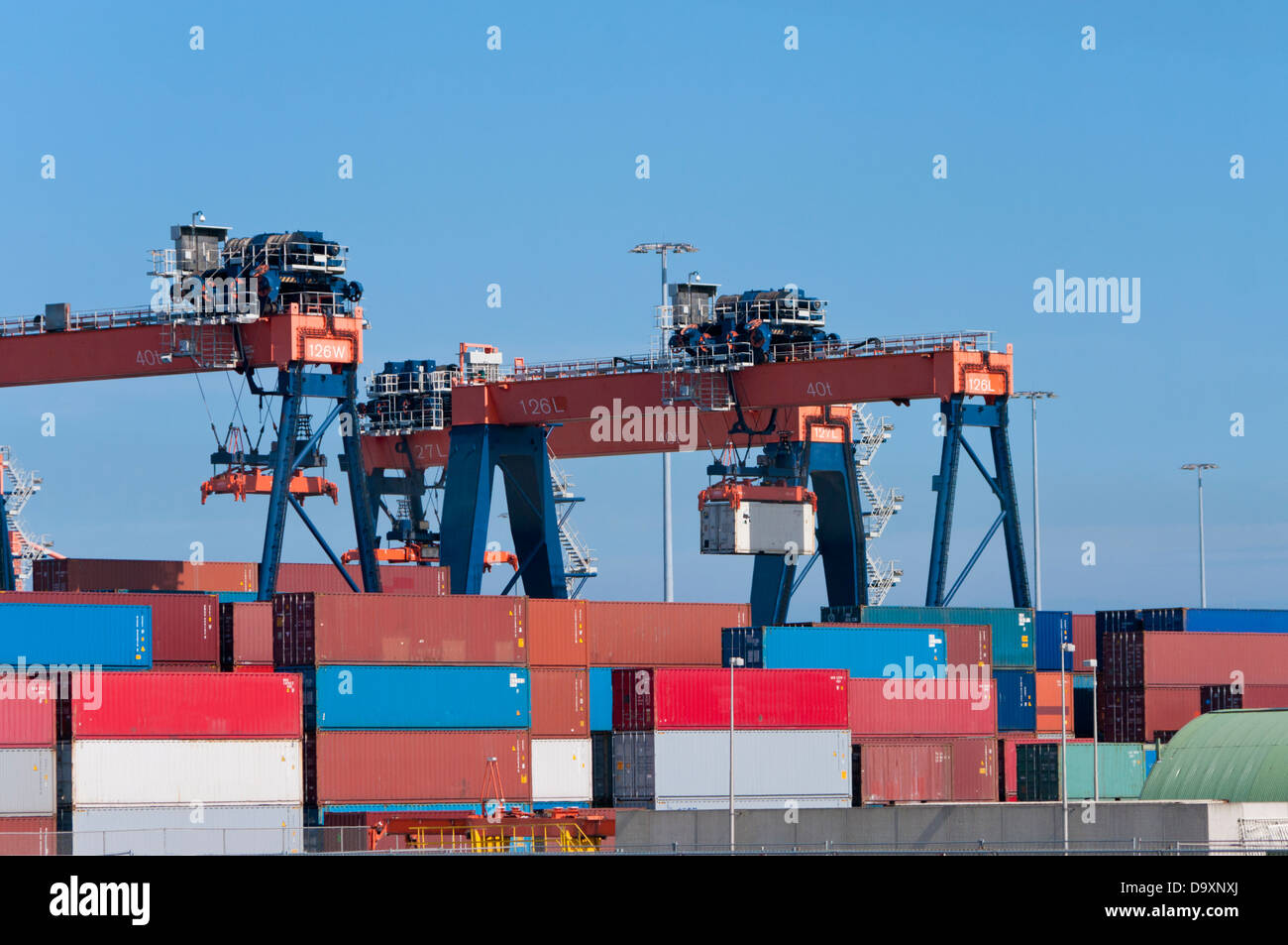 container terminal in the Rotterdam harbor Stock Photo - Alamy