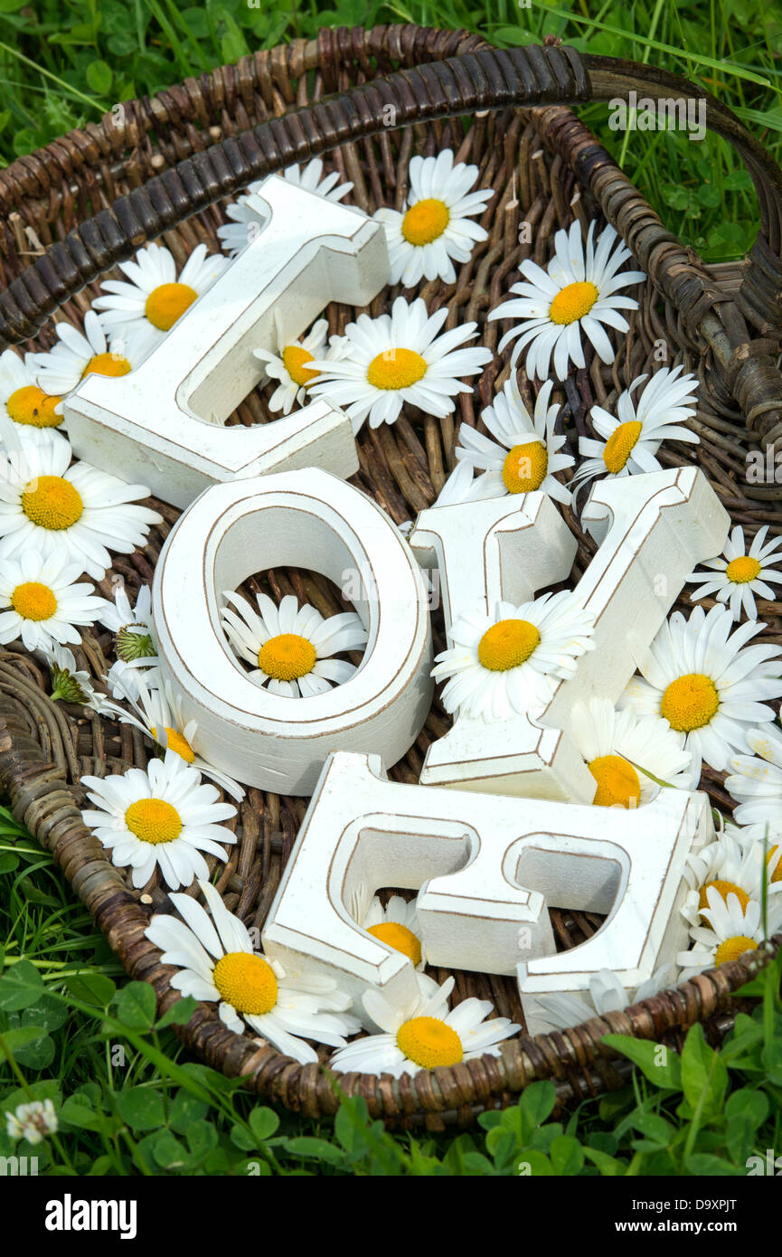 LOVE. Block wooden letters with daises in a wicker basket Stock Photo ...