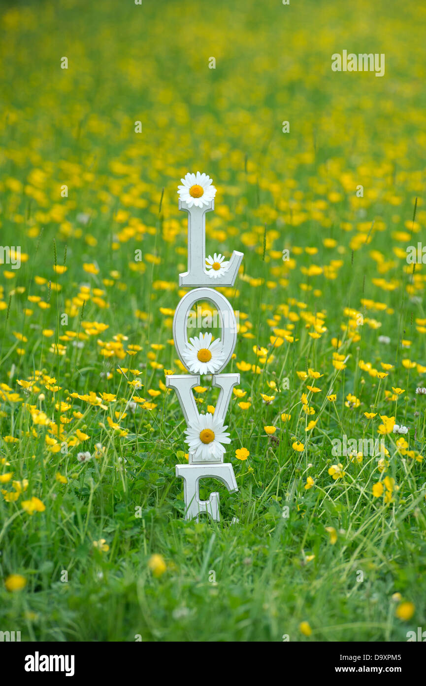 LOVE. Block wooden letters with daises and buttercups Stock Photo - Alamy