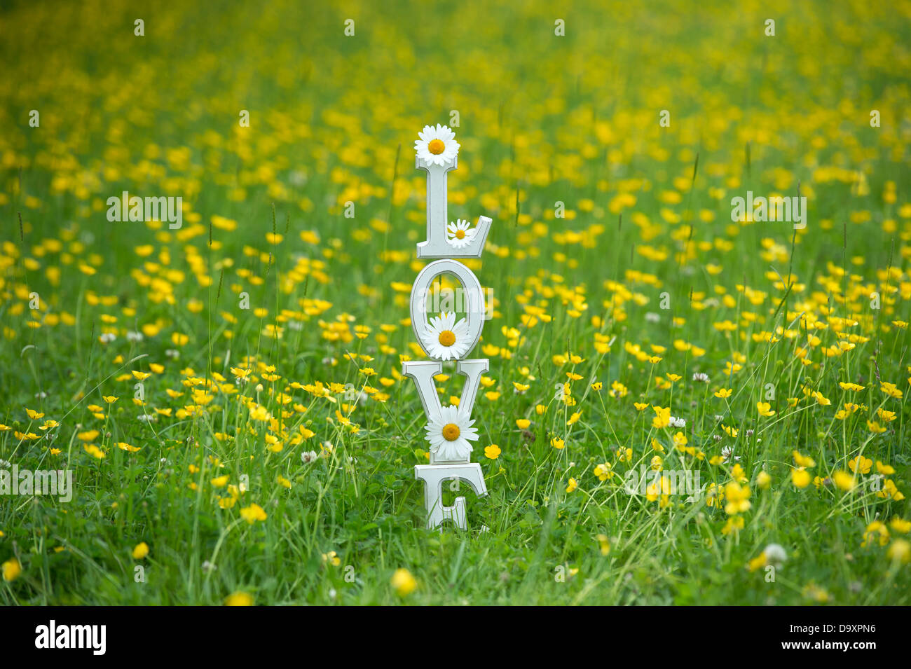 LOVE. Block wooden letters with daises and buttercups Stock Photo - Alamy