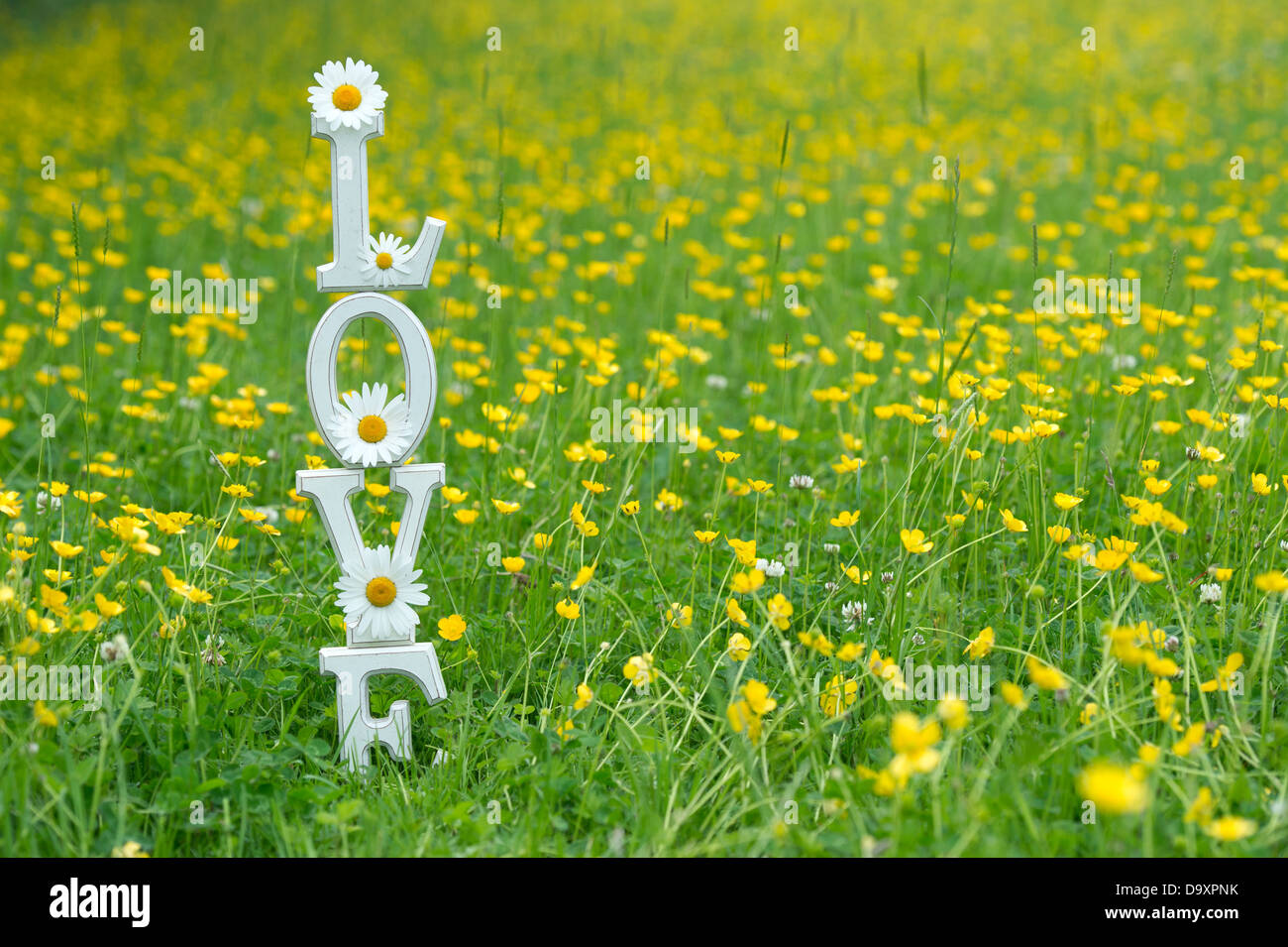 LOVE. Block wooden letters with daises and buttercups Stock Photo - Alamy