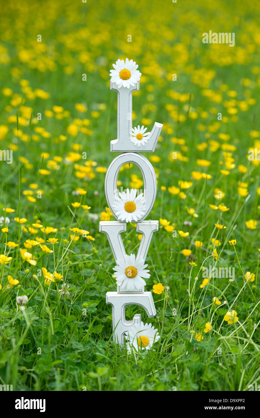 LOVE. Block wooden letters with daises and buttercups Stock Photo - Alamy