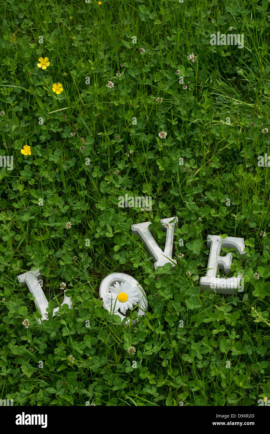 LOVE. Block wooden letters with daises and clover Stock Photo - Alamy