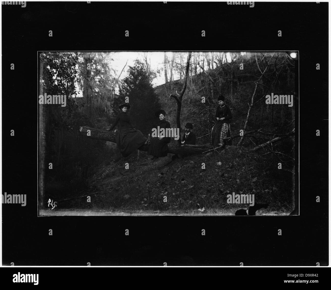 Hall circle Black and White Stock Photos & Images - Alamy