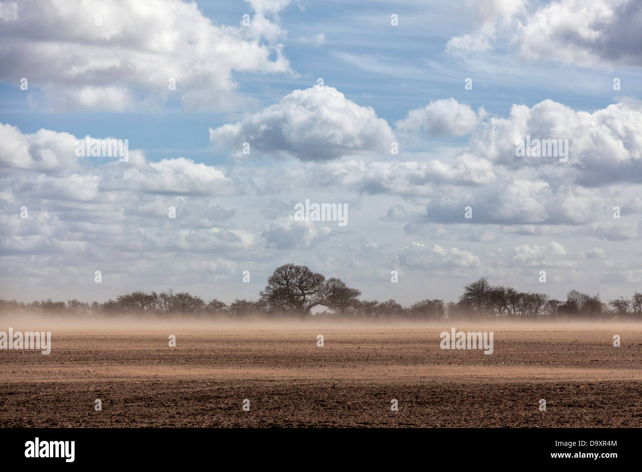 Dust blowing around the surface of a bare field with bare trees in ...