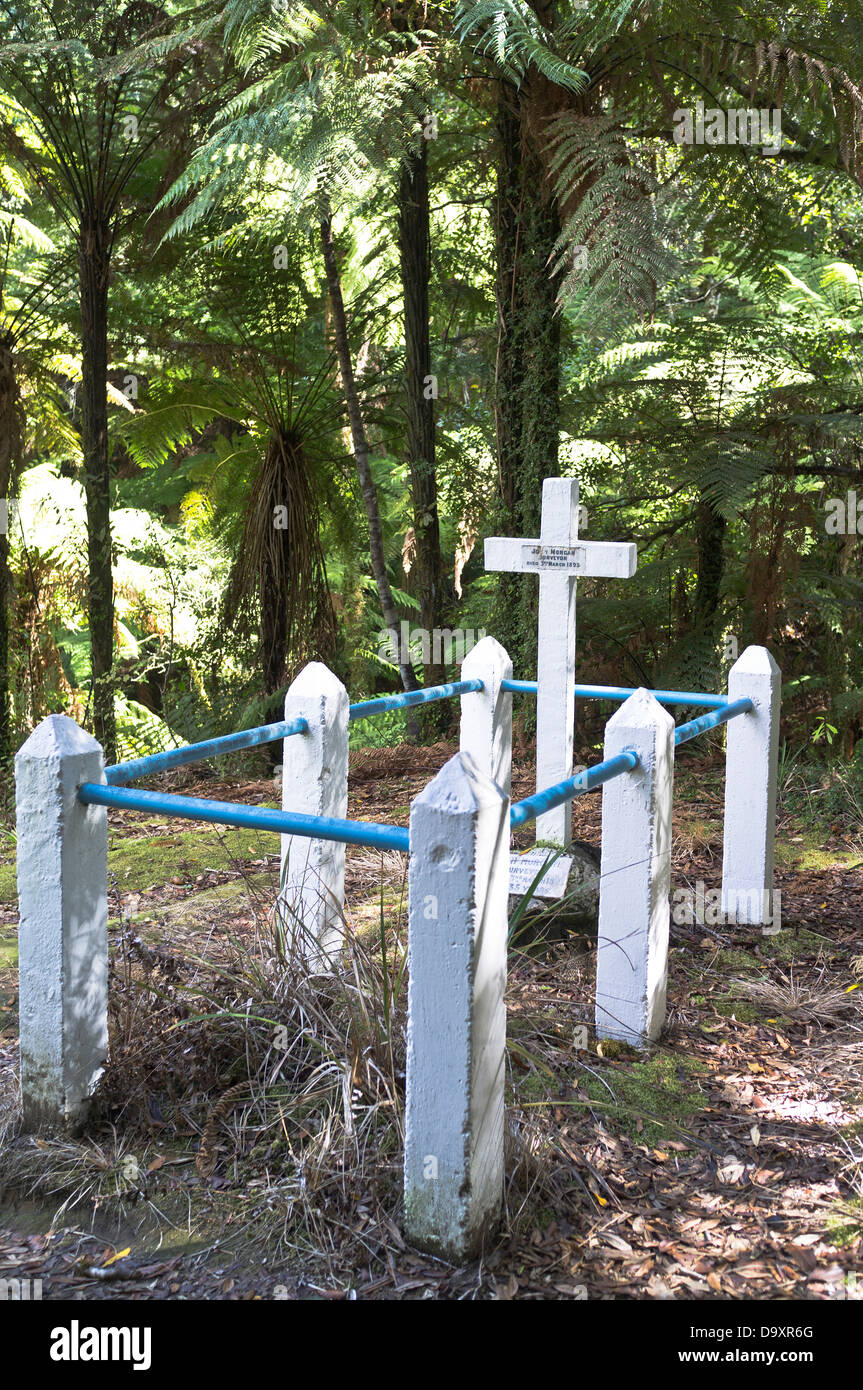 Tangarakau hi-res stock photography and images - Alamy