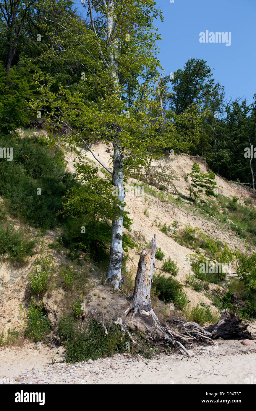 The orlowo cliff hi-res stock photography and images - Alamy