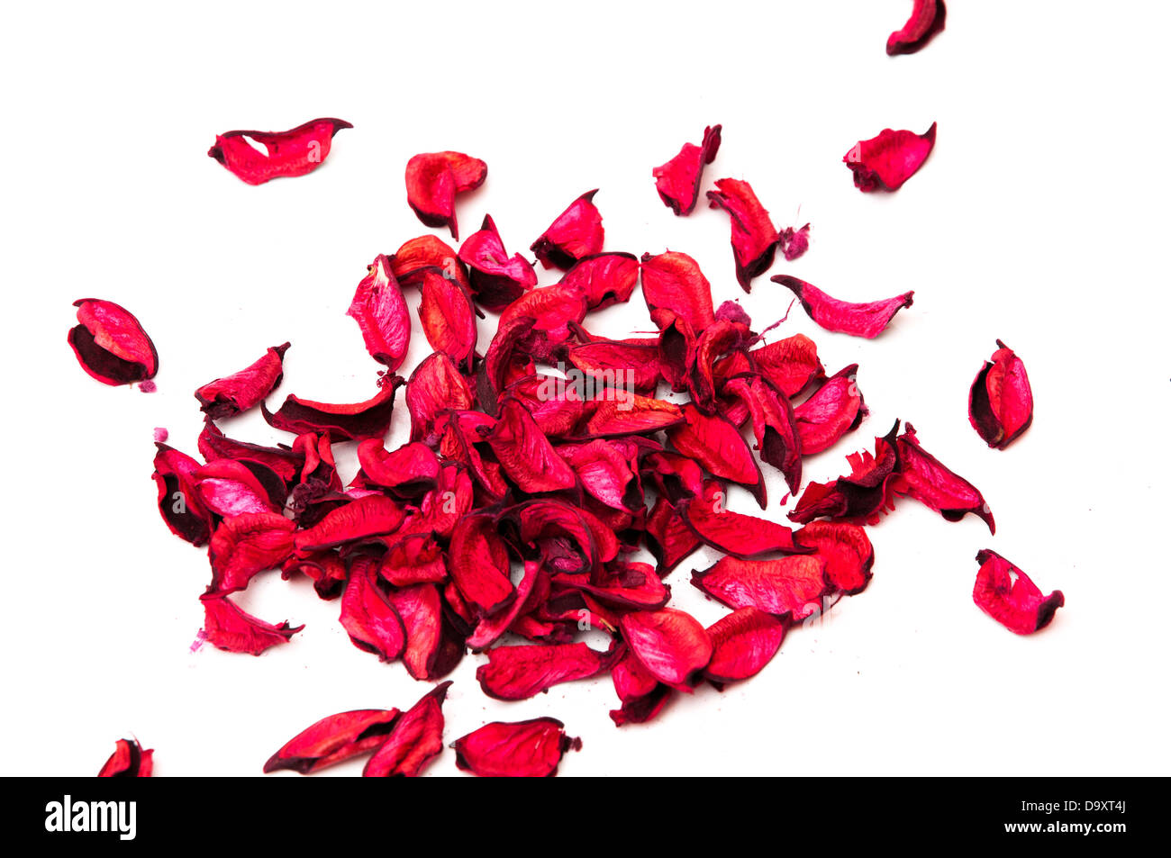 flower petals on a white background Stock Photo - Alamy