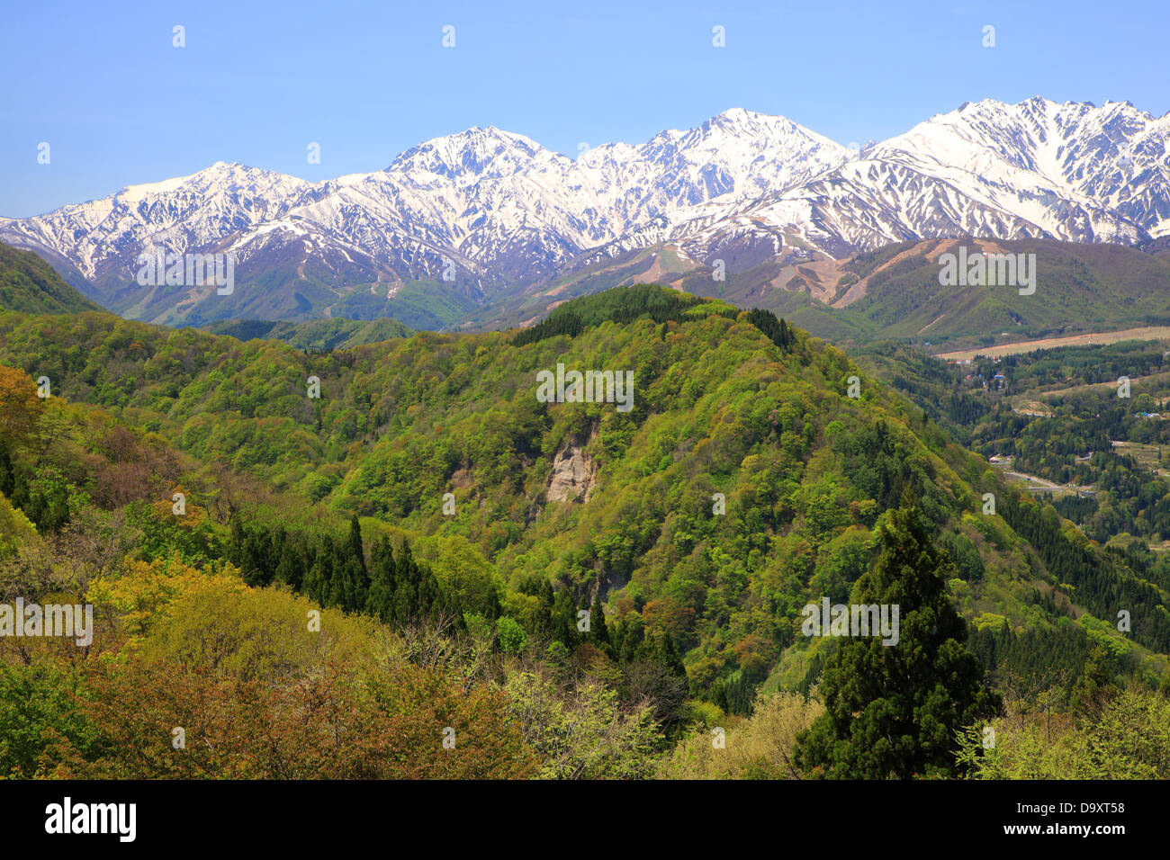 Japan Alps of early summer, Nagano, Japan Stock Photo - Alamy