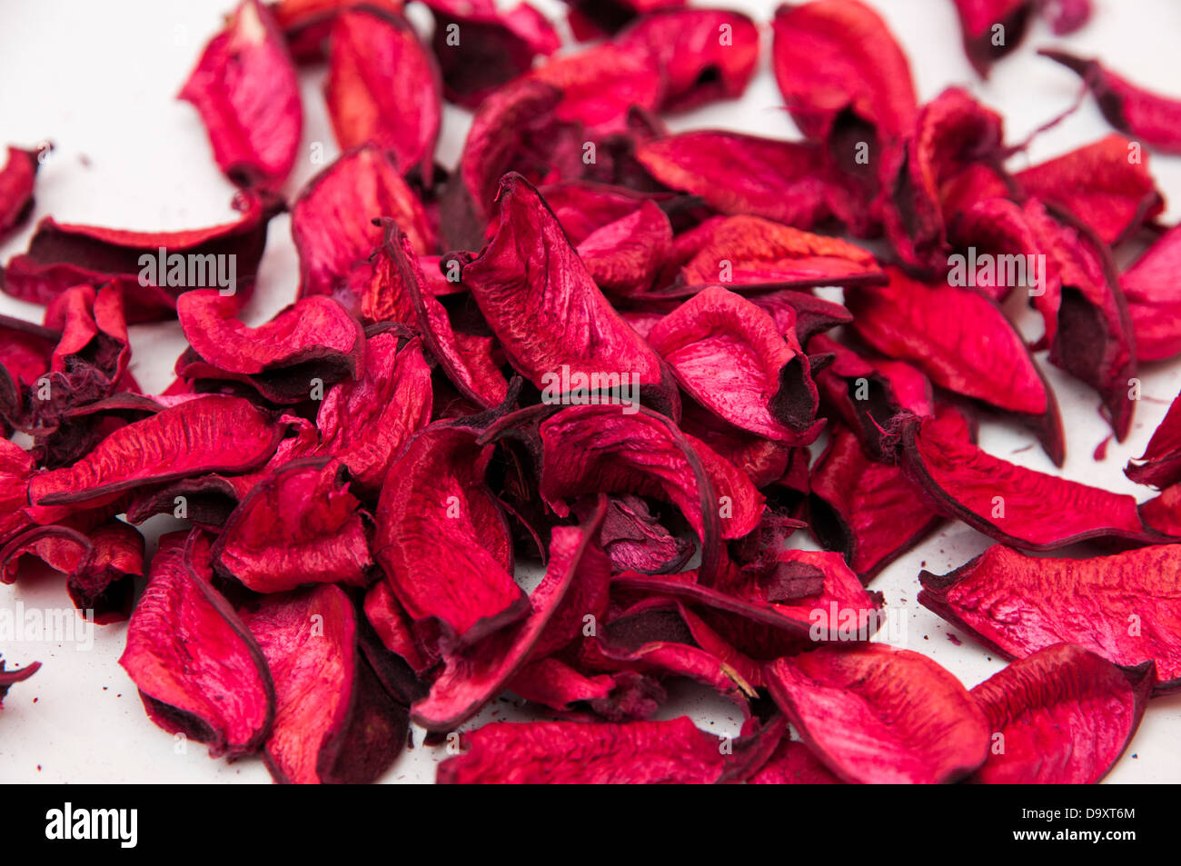 flower petals on a white background Stock Photo - Alamy