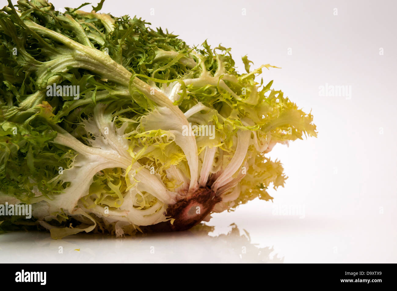 green endive on a white background Stock Photo - Alamy