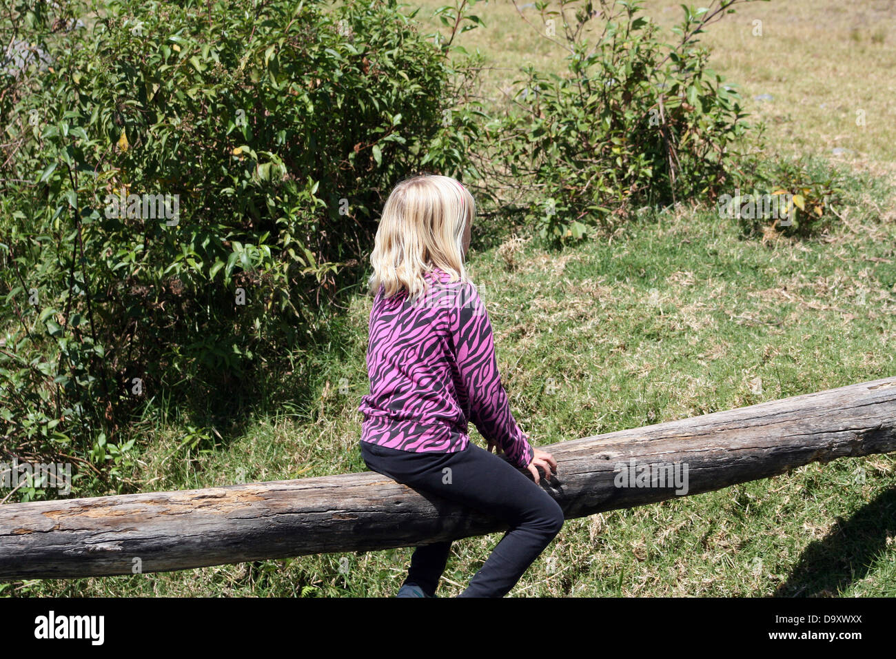 A pretty young blond girl balancing on a log over a stream in a farmers ...