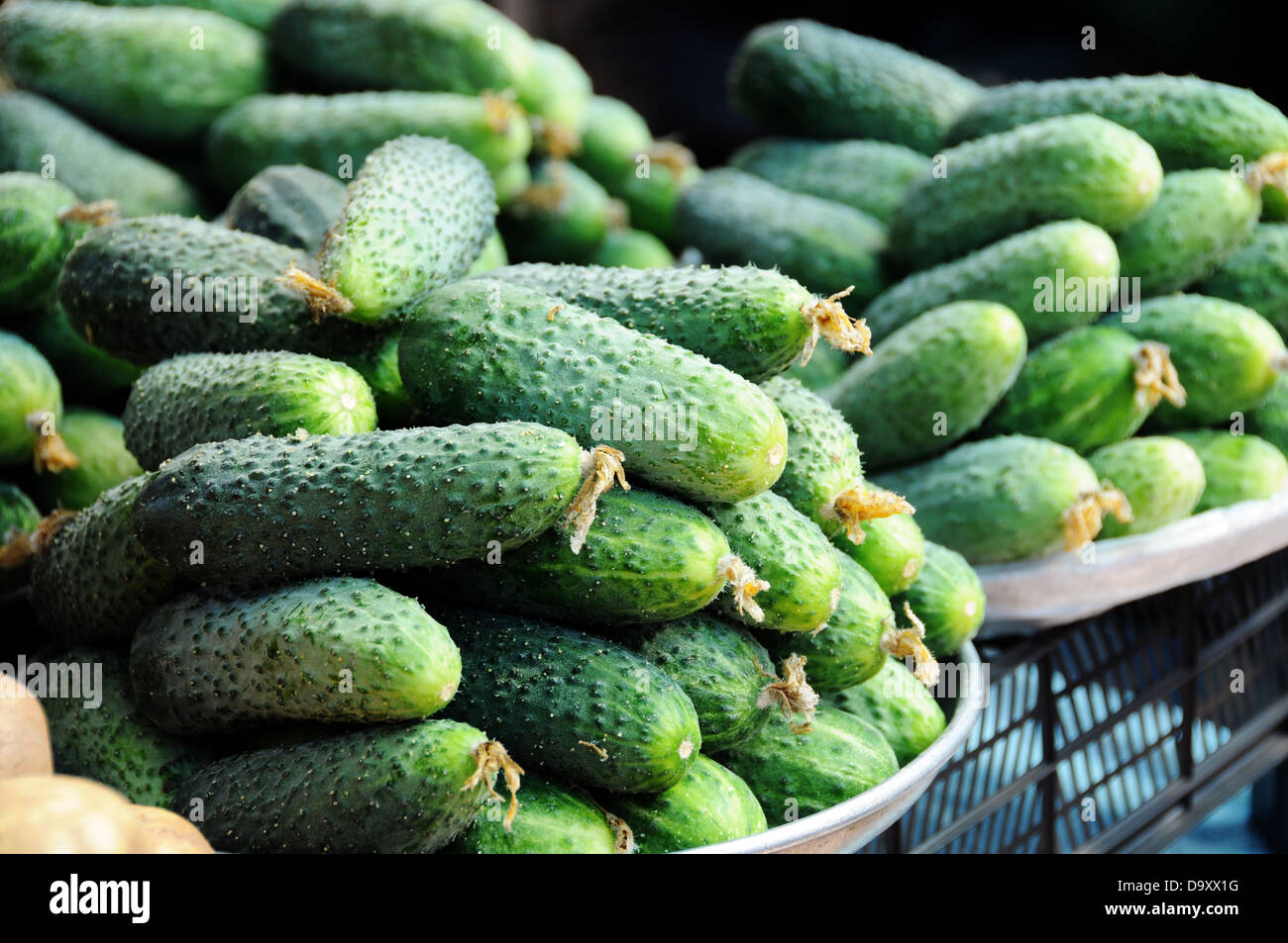 Farmers market cucumber hi-res stock photography and images - Alamy