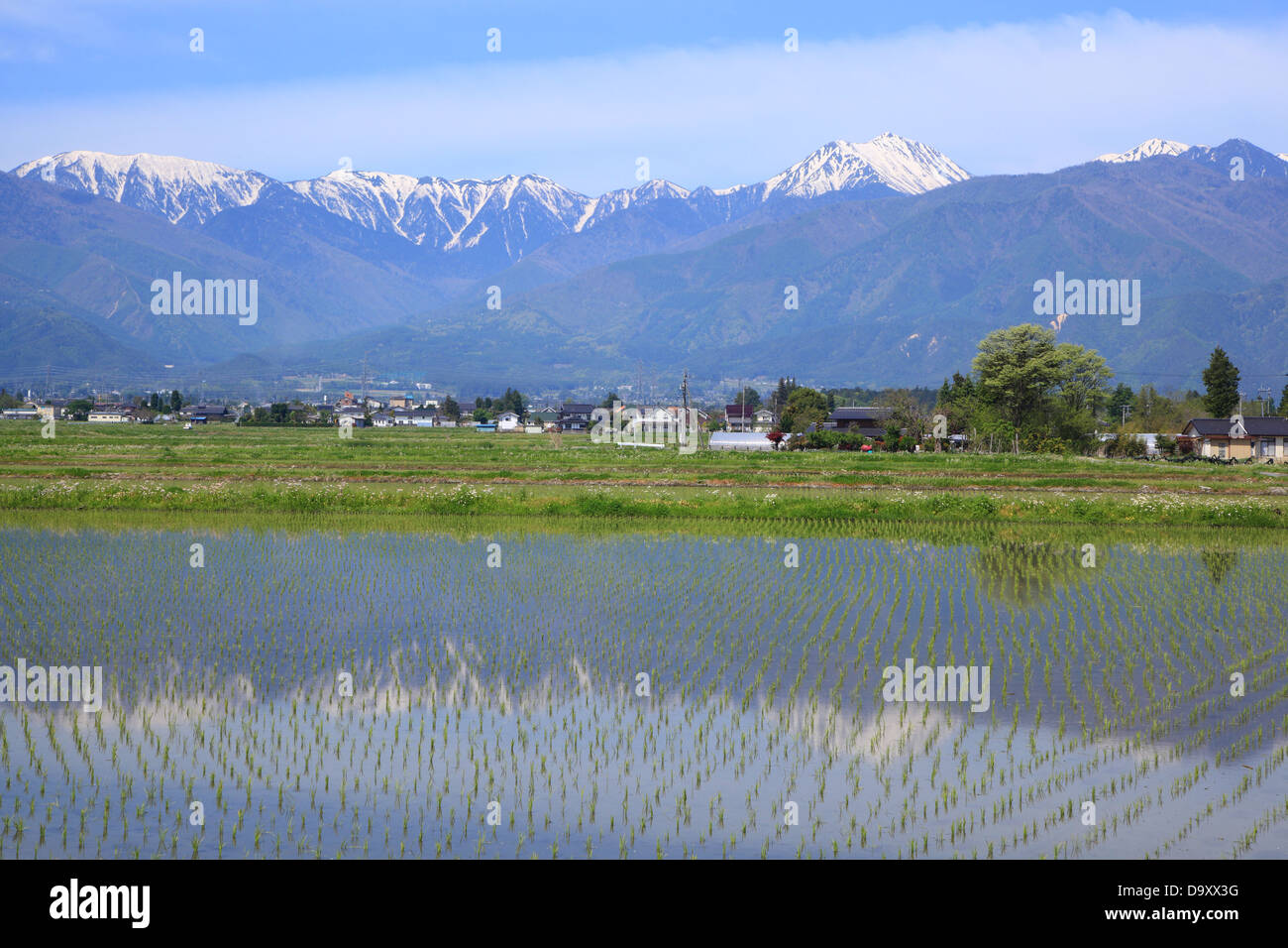 The Japan Alps and paddy field in Azumino city, Nagano, Japan Stock ...