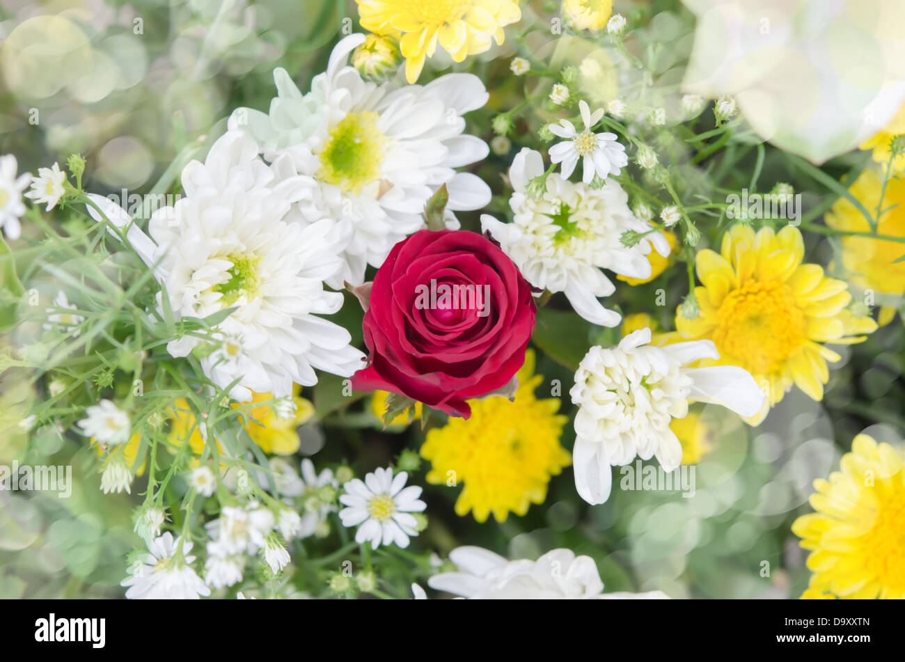 mixed of fresh colorful flower bouquet full background Stock Photo - Alamy