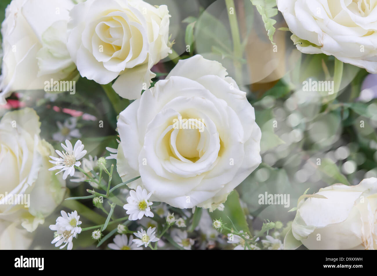 mixed of fresh white flower bouquet , flower background Stock Photo - Alamy