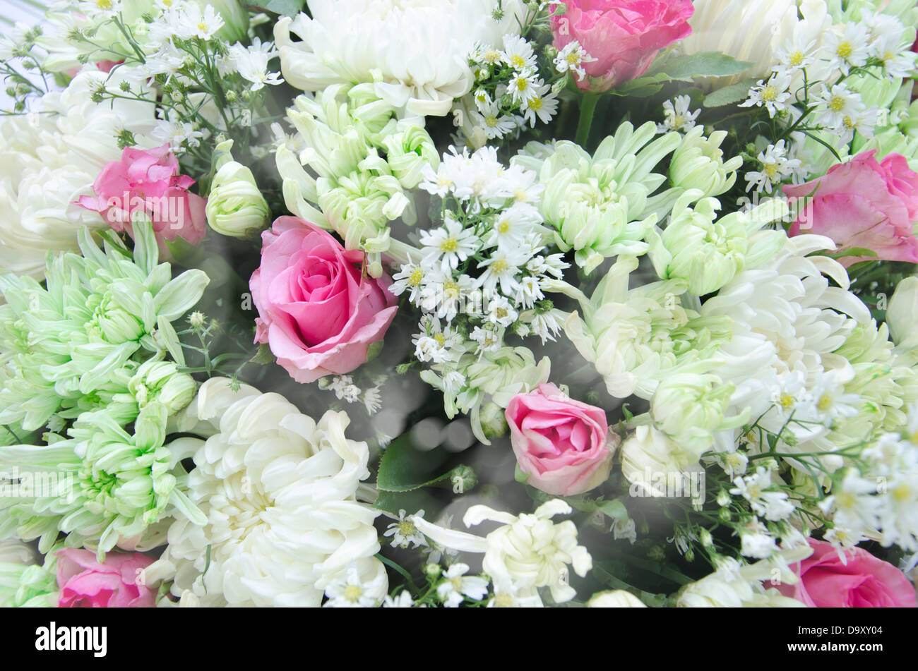 mixed of flower bouquet , fresh flora and leaves full background Stock ...