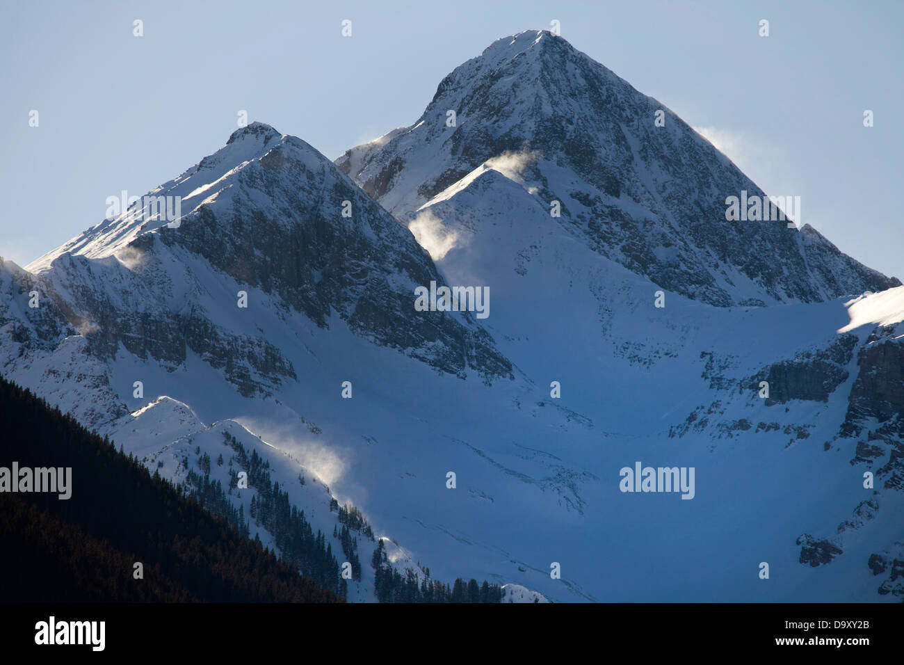 Lizard head pass hi-res stock photography and images - Alamy