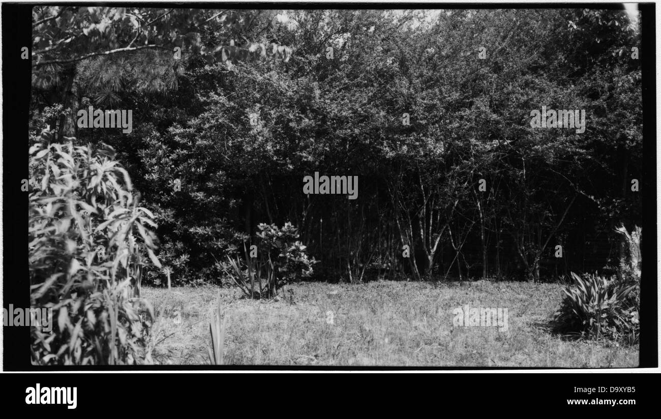 This image features Clara Allen's log cabin located on U.S. Highway 51 ...