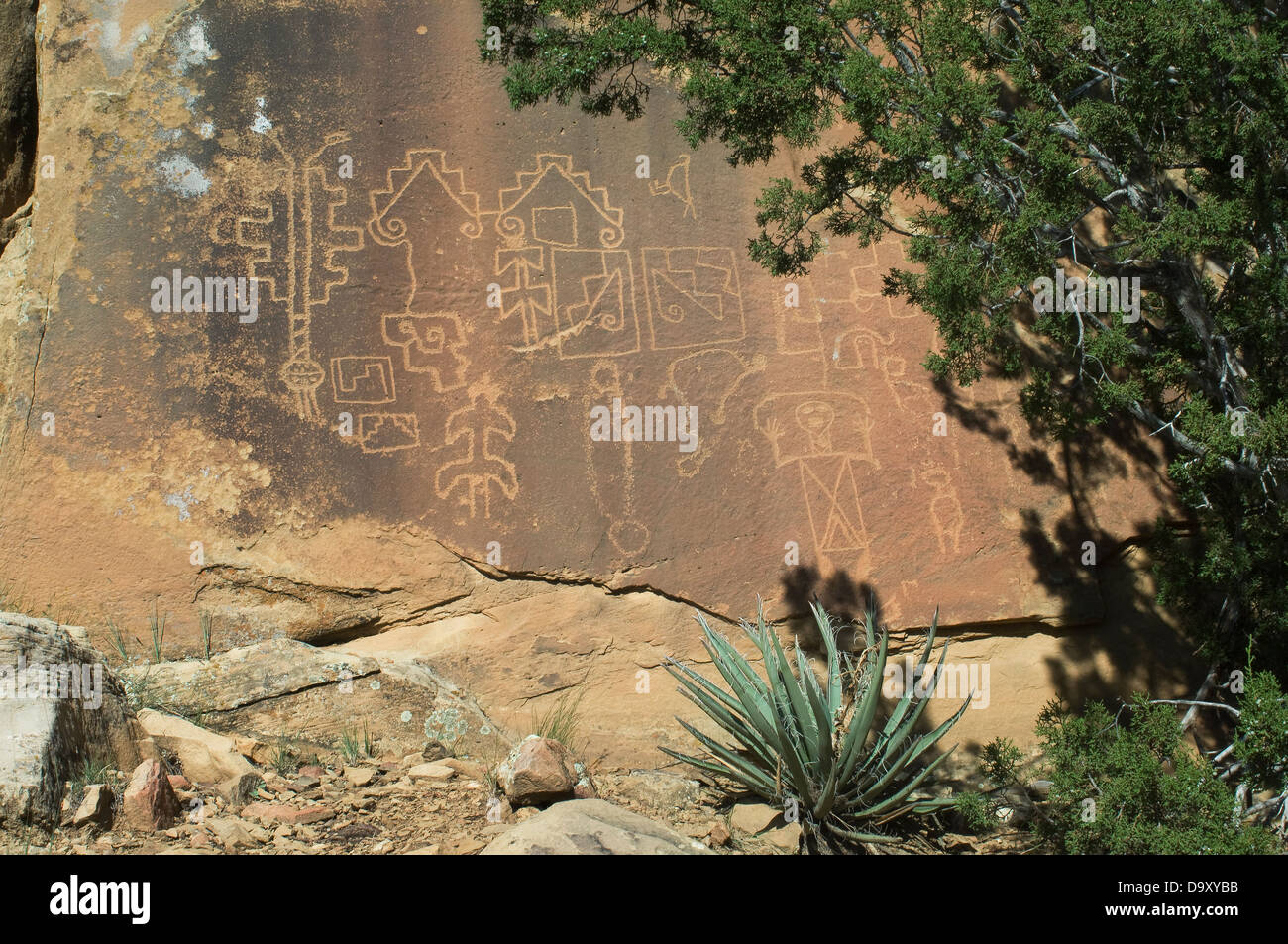 Native American petroglyphs in Lobo Canyon, Cebolla Wilderness, New ...