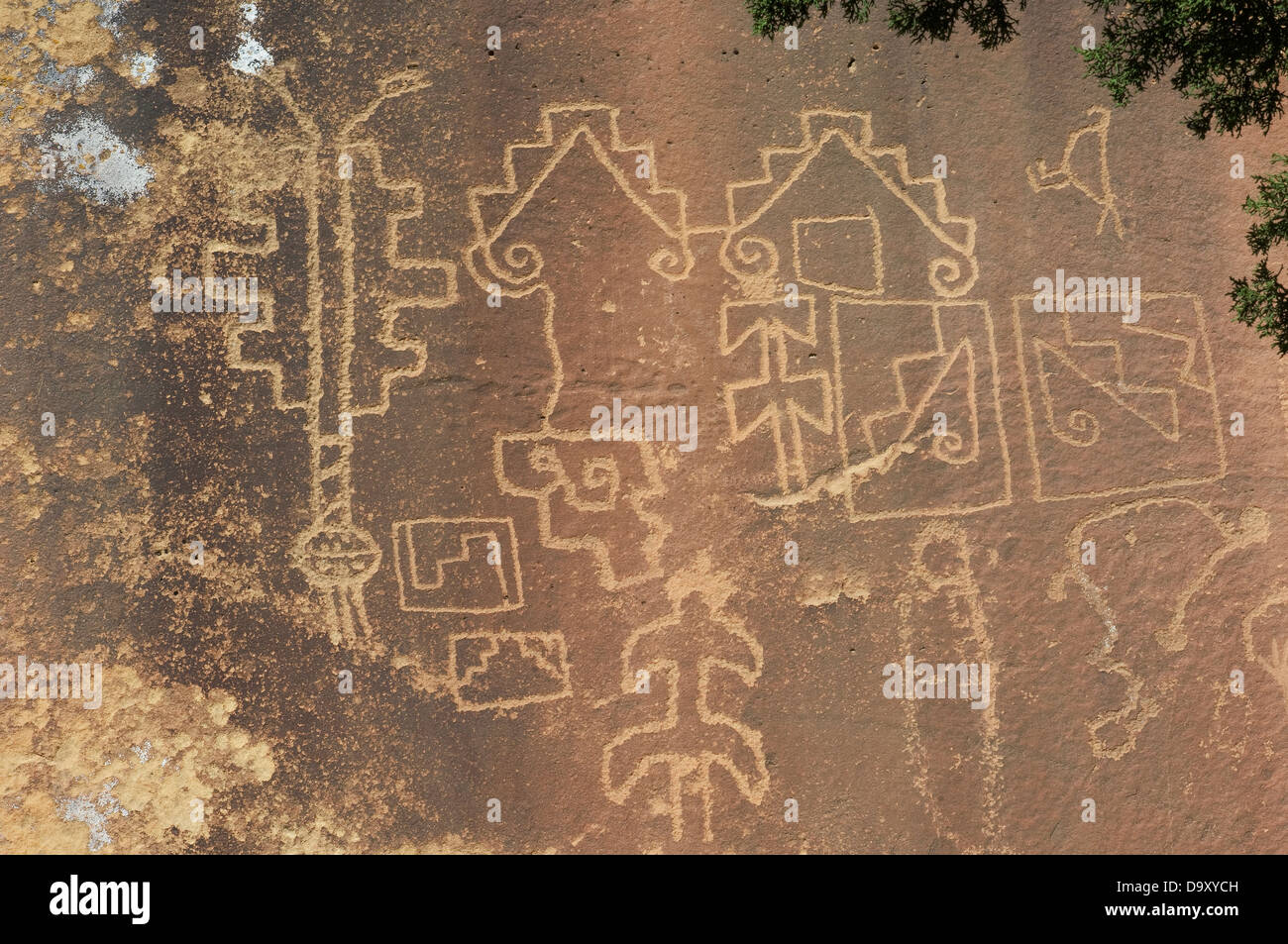 Native American petroglyphs in Lobo Canyon, Cebolla Wilderness, New ...