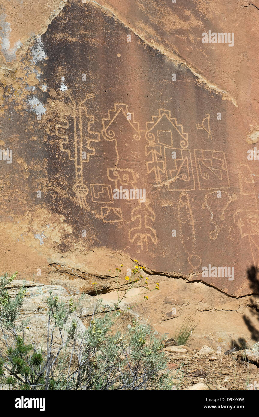 Native American petroglyphs in Lobo Canyon, Cebolla Wilderness, New ...