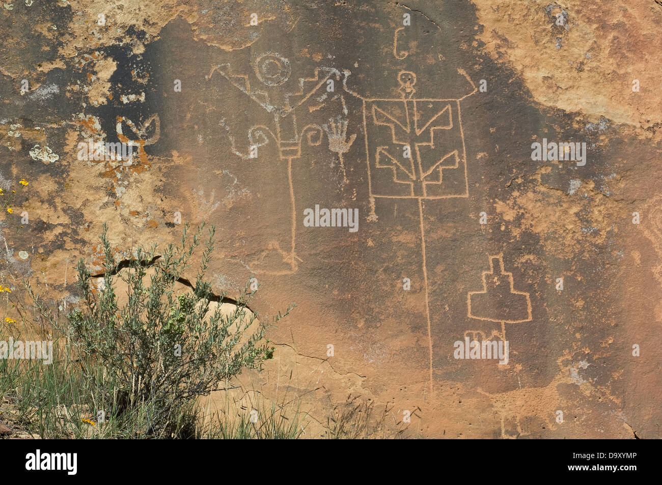 Native American petroglyphs in Lobo Canyon, Cebolla Wilderness, New ...