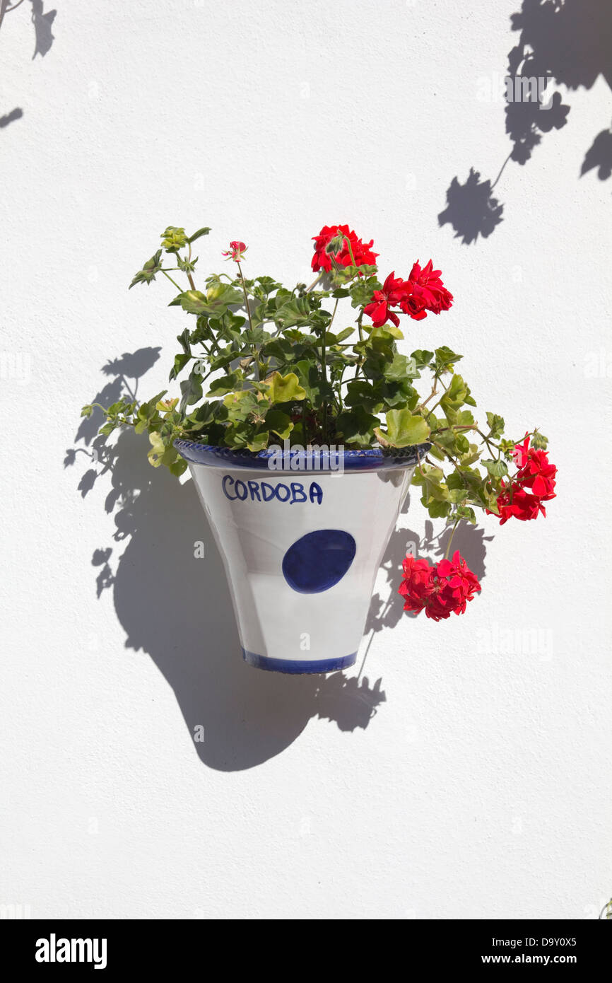 Red carnation spain hi-res stock photography and images - Alamy