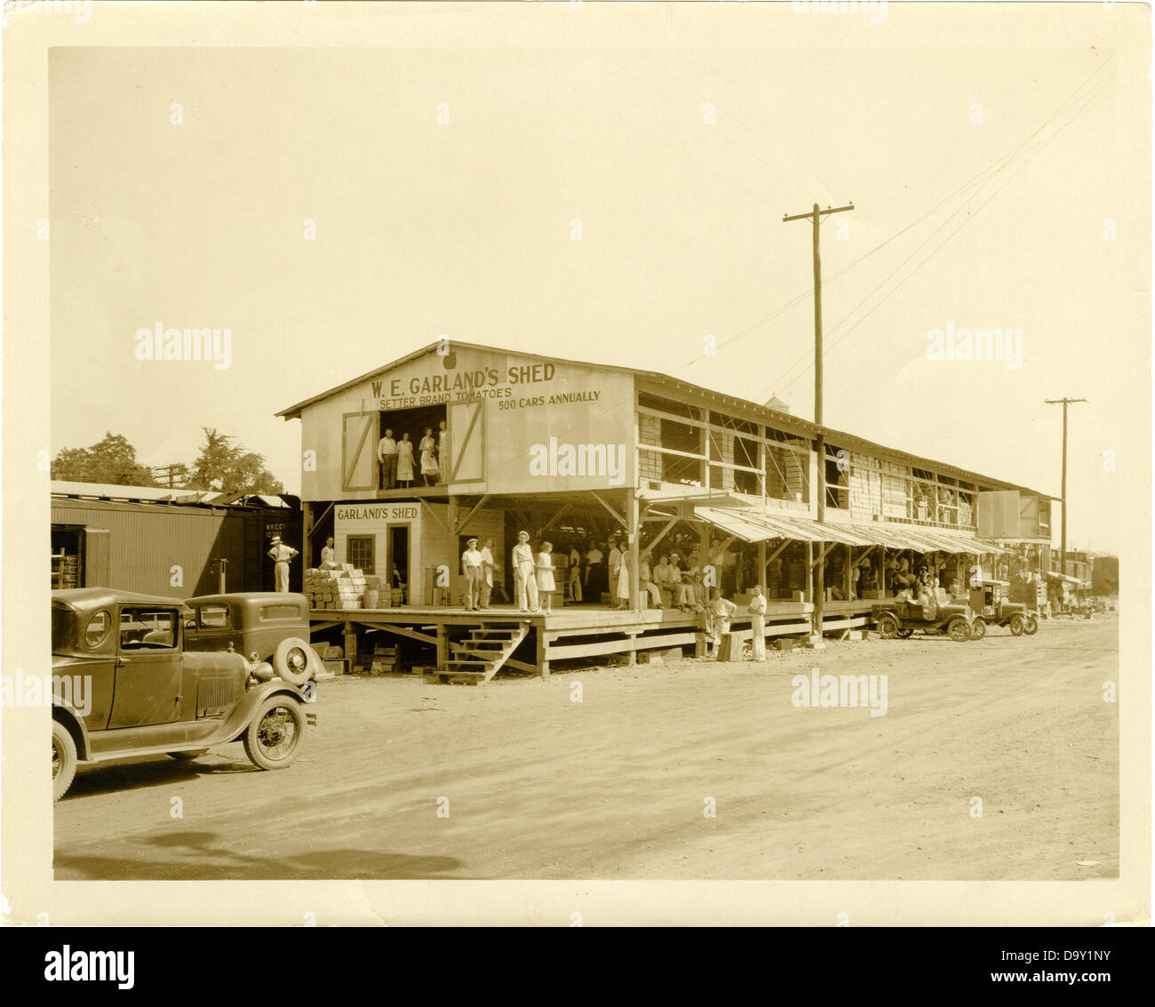 This photograph shows W. E. Garland's tomato packing shed, a ...