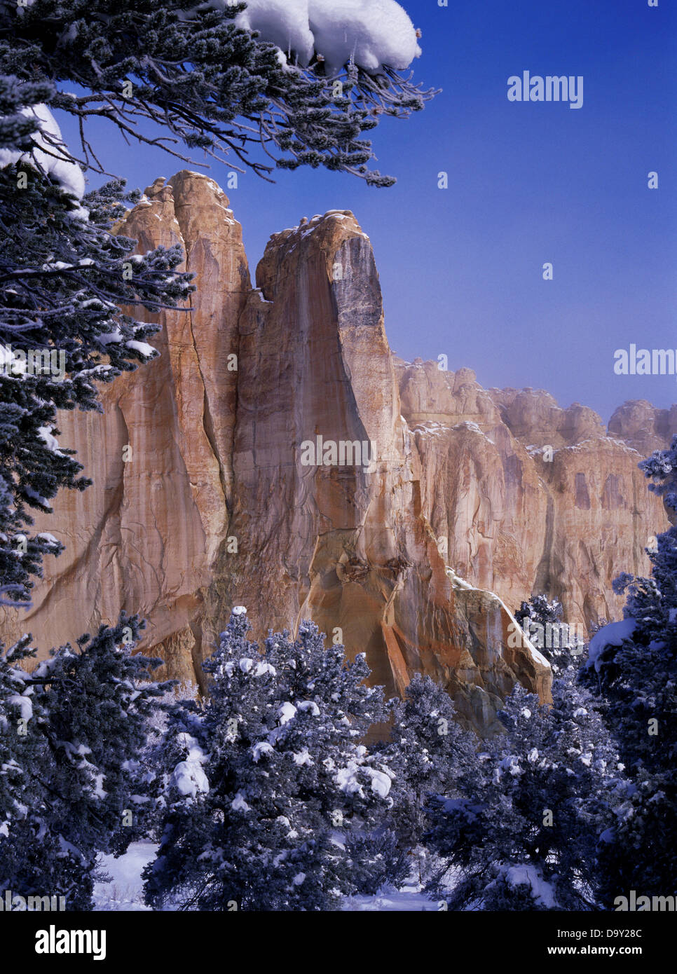 Inscription rock new mexico hi-res stock photography and images - Alamy