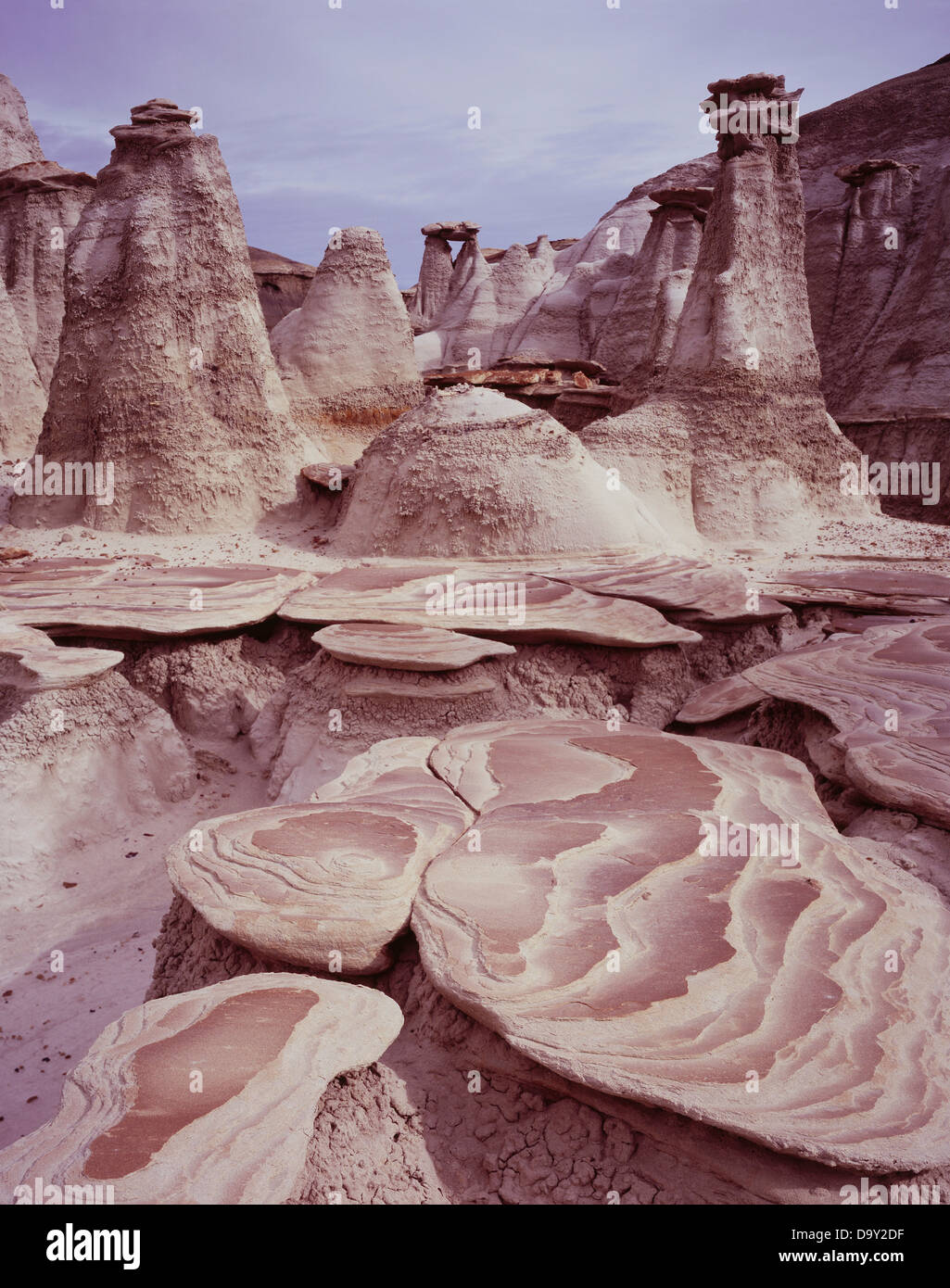 Variegated sandstone shelves leading toward mudstone hoodoos eroded ...