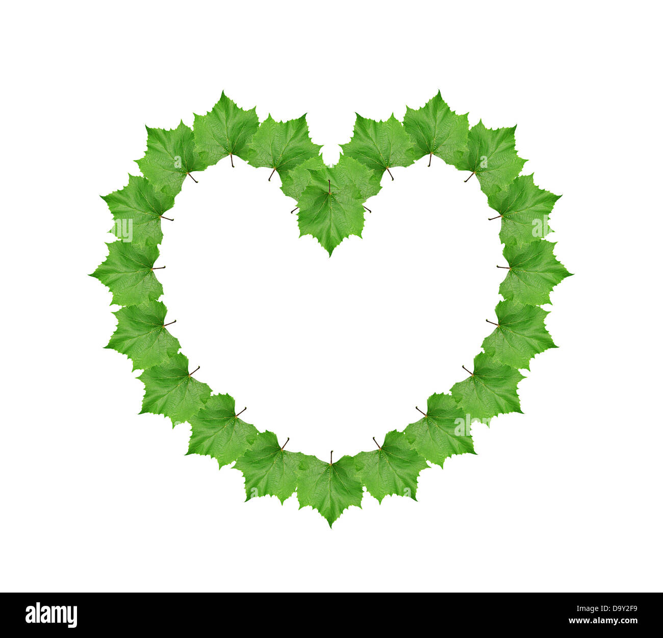 Green leaves in form Cut Out Stock Images & Pictures - Alamy