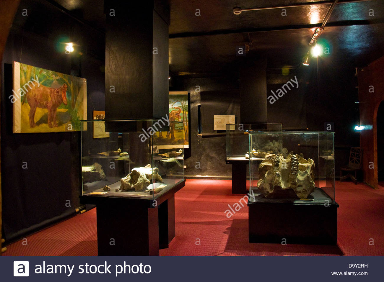Addis Ababa National Museum Ethiopia High Resolution Stock Photography ...
