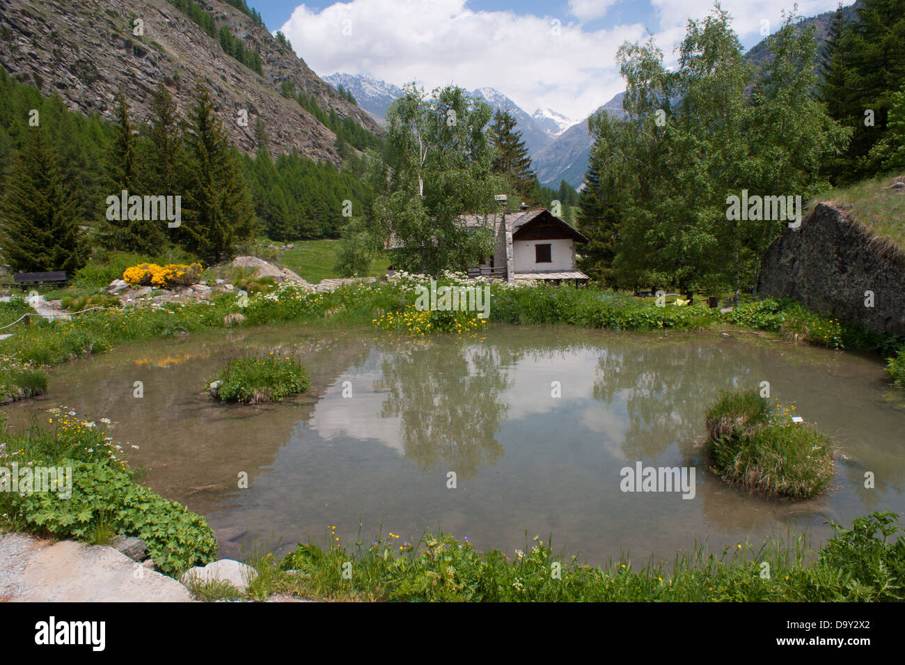 Botanical Garden,valnontey,cogne,val of aosta,italy Stock Photo - Alamy