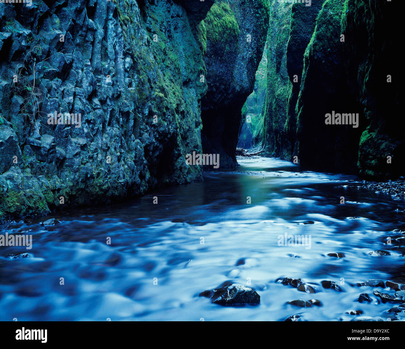 Oneonta Creek flowing through deep narrow Oneonta Gorge Columbia River ...