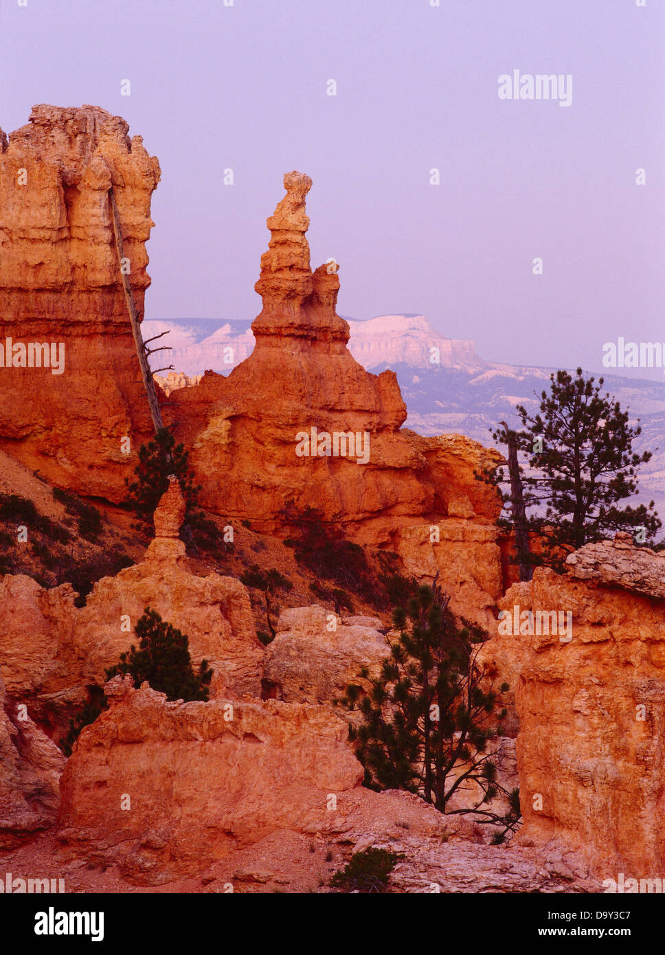 Table Cliff viewed beyond hoodoos along the Peekaboo Trail at dusk ...