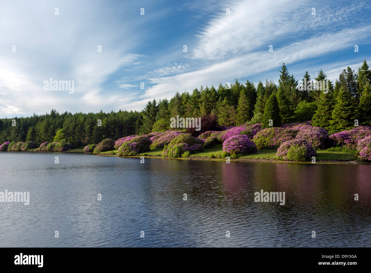 Kennick reservoir devon hi-res stock photography and images - Alamy