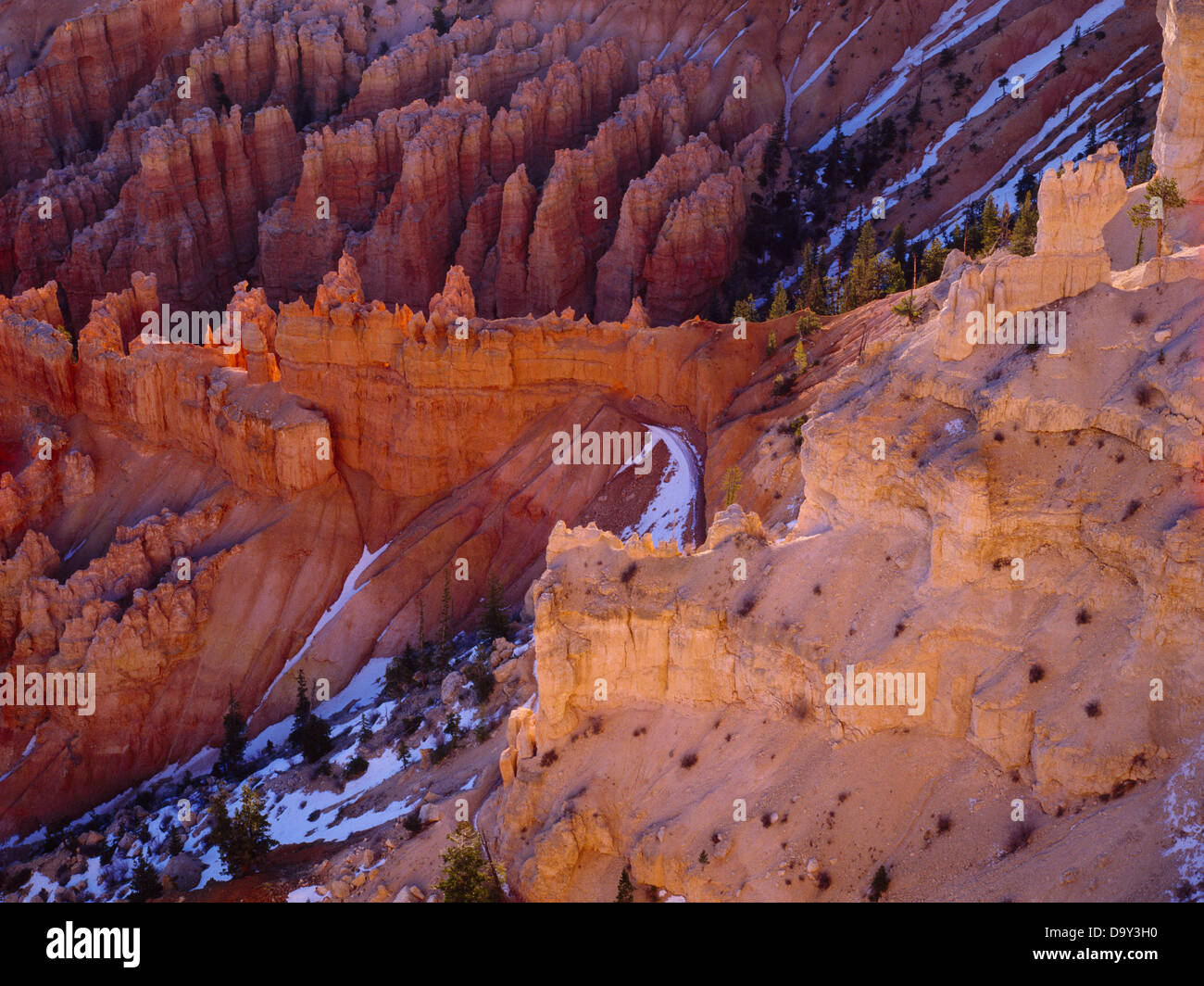 Morning light illuminating hoodoos of the Claron Formation limestone ...