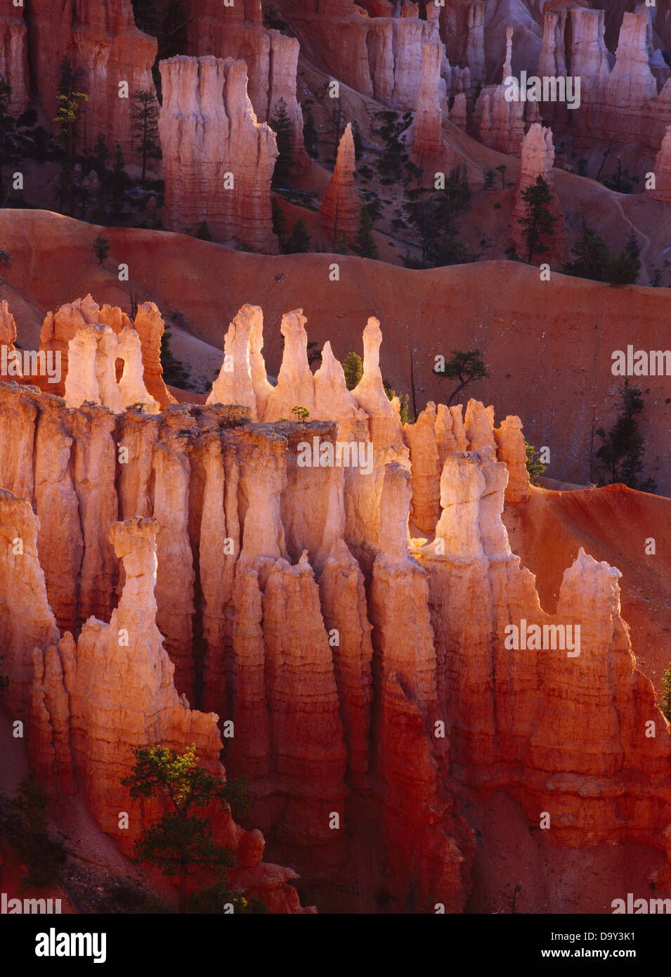 Claron Formation hoodoos below Sunset Point in early morning light ...